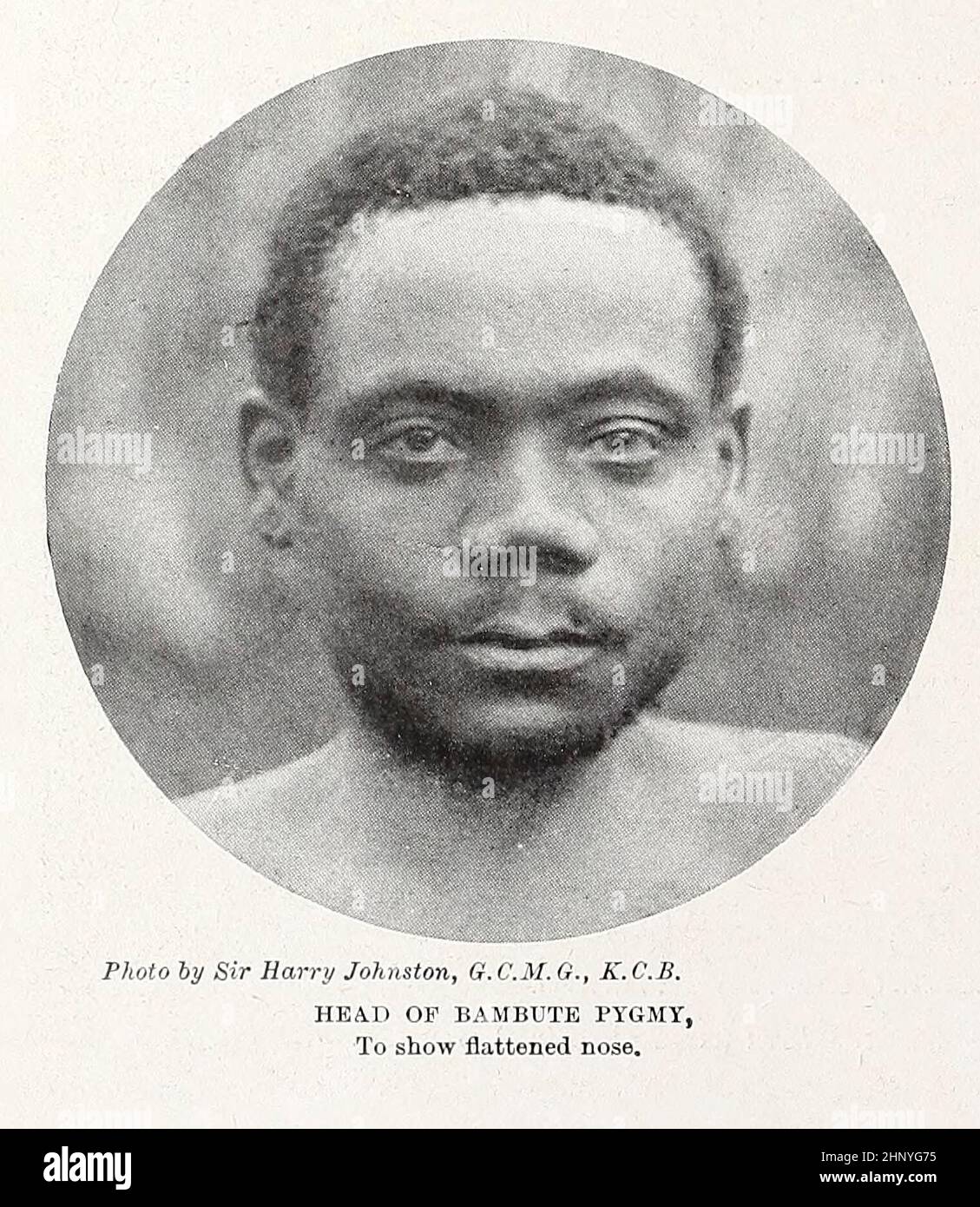 Bambute Pygmy (head) from The living races of mankind : a popular ...