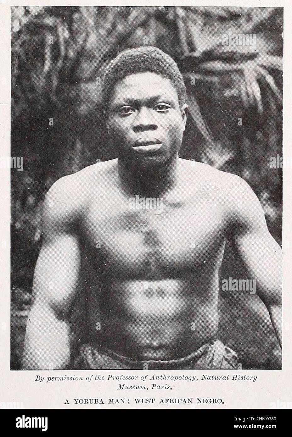 A Yoruba man : West African Negro from The living races of mankind : a ...