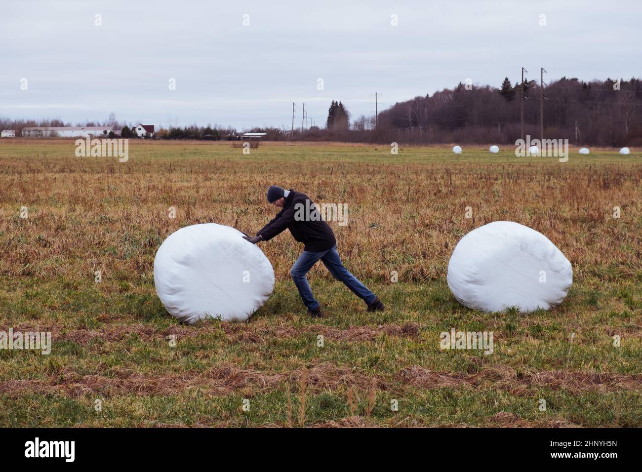 Farmer and haystacks packed for winter. High quality photo Stock Photo ...