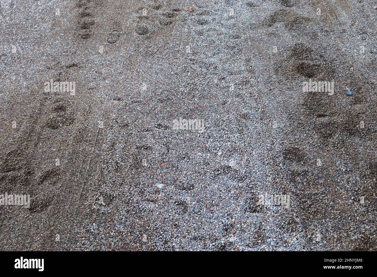 Detailed close up view on pebbles and stones on a gravel ground texture ...