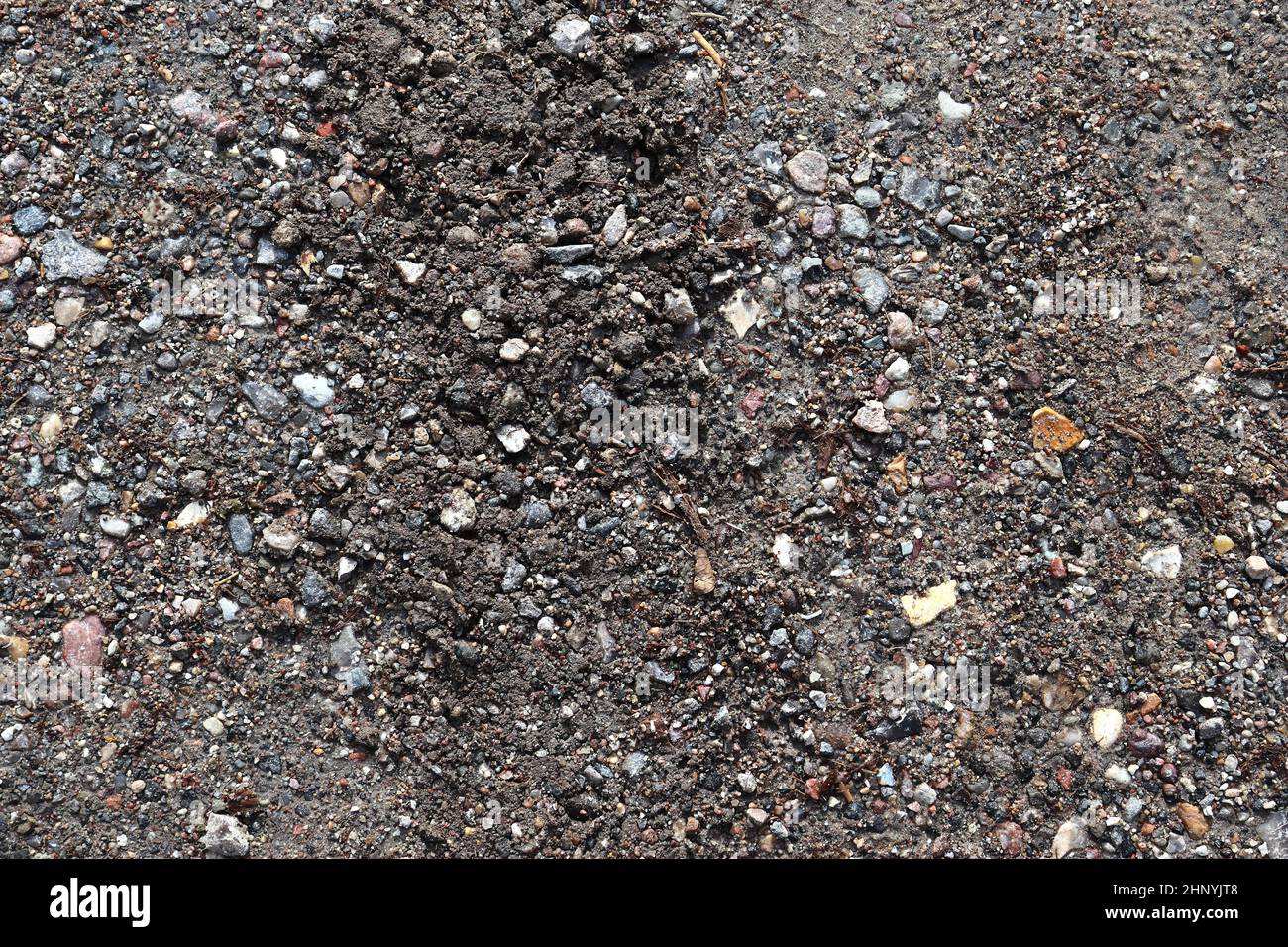 Detailed close up view on pebbles and stones on a gravel ground texture ...