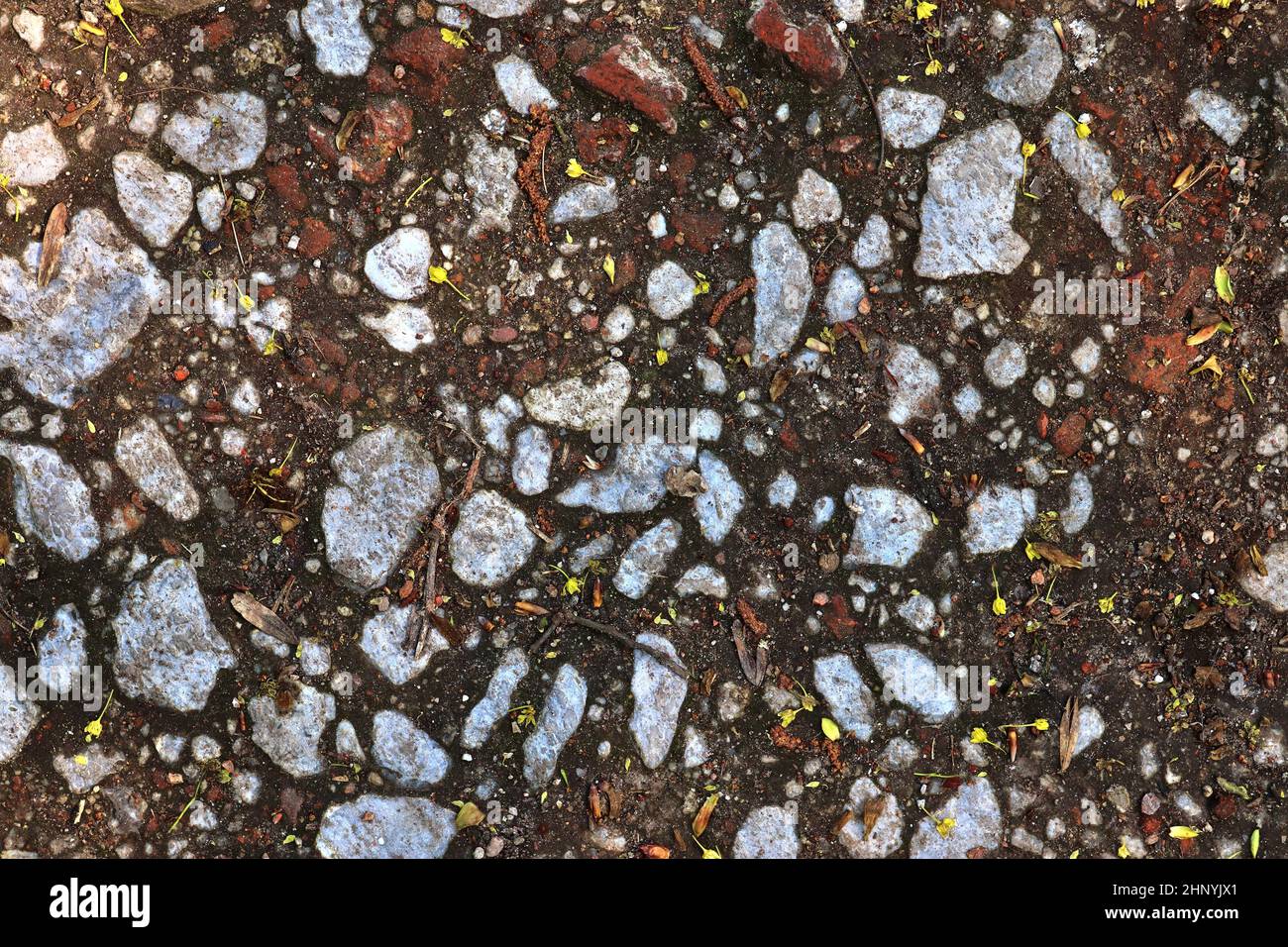 Detailed close up view on pebbles and stones on a gravel ground texture ...