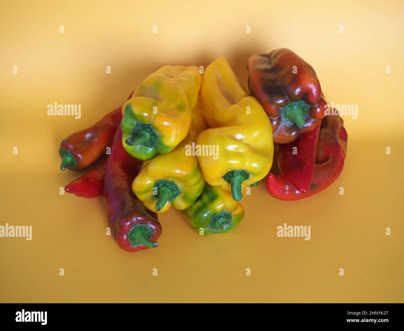 red and yellow peppers (scientific name Capsicum aka bell peppers ...