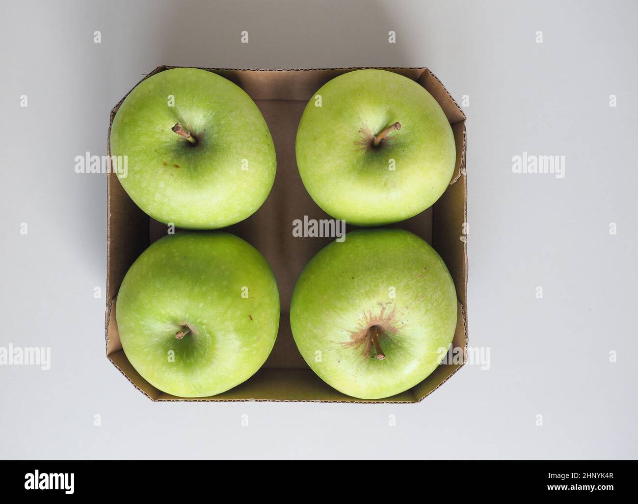 green Granny Smith apple (scientific name Malus domestica) vegetarian ...