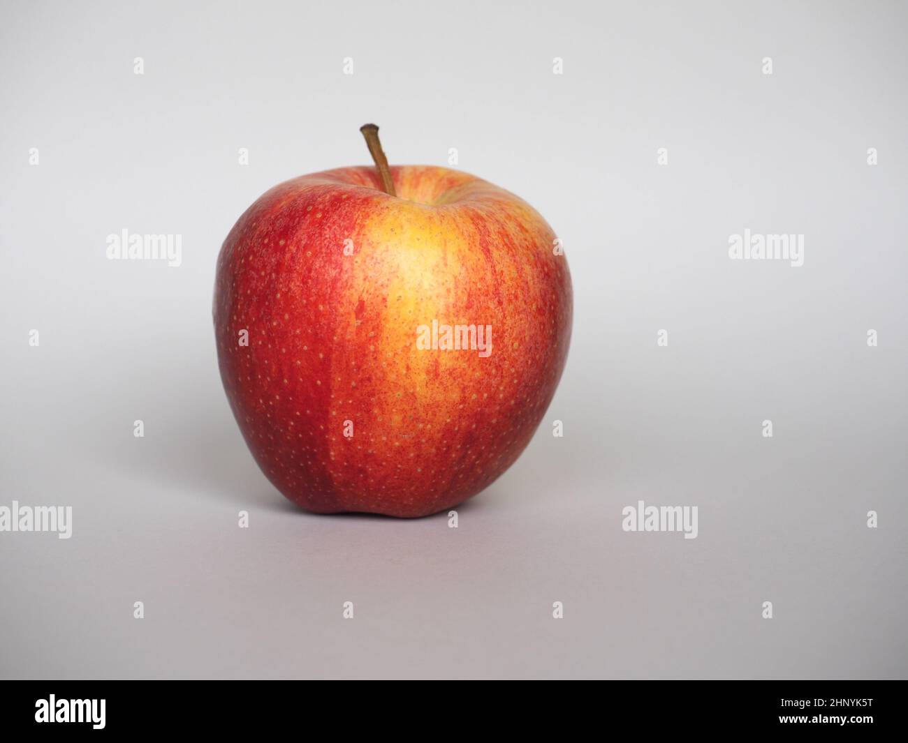 red apple (scientific name Malus domestica) vegetarian fruit food Stock ...