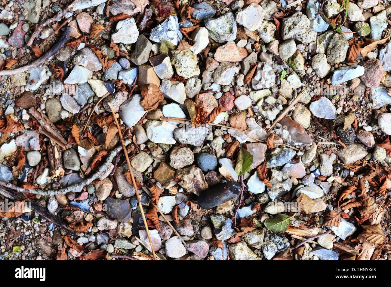 Detailed close up view on pebbles and stones on a gravel ground texture ...