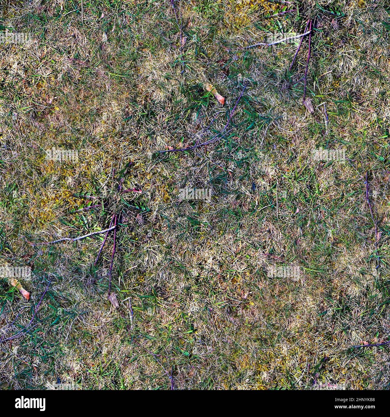 Photo realistic seamless grass texture in high resolution with more ...