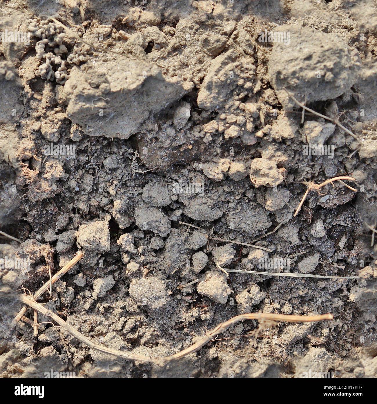 High resolution seamless texture of a dry acre grounds with cracks ...