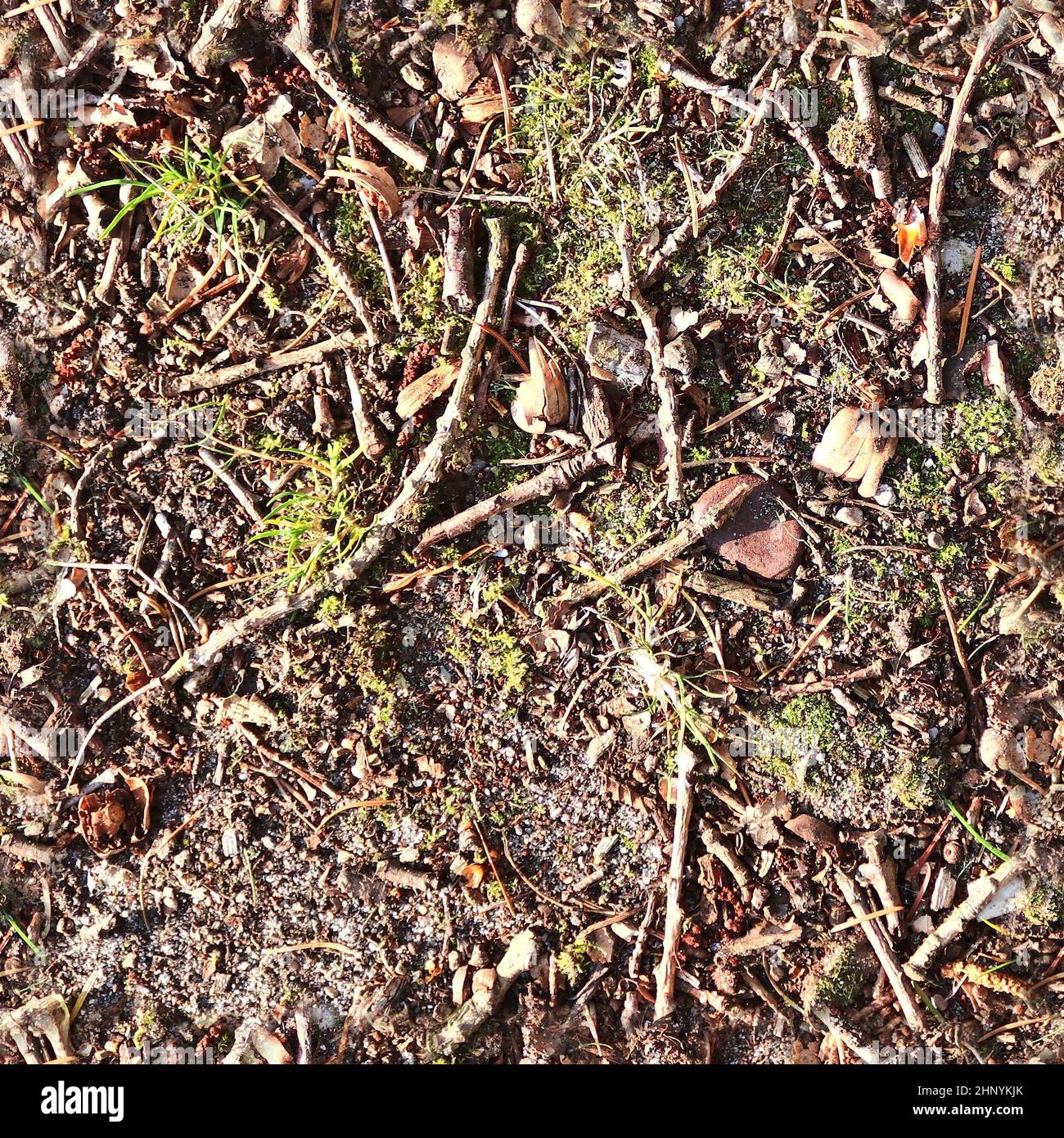 High resolution seamless texture of a forest ground with autumn leaves ...