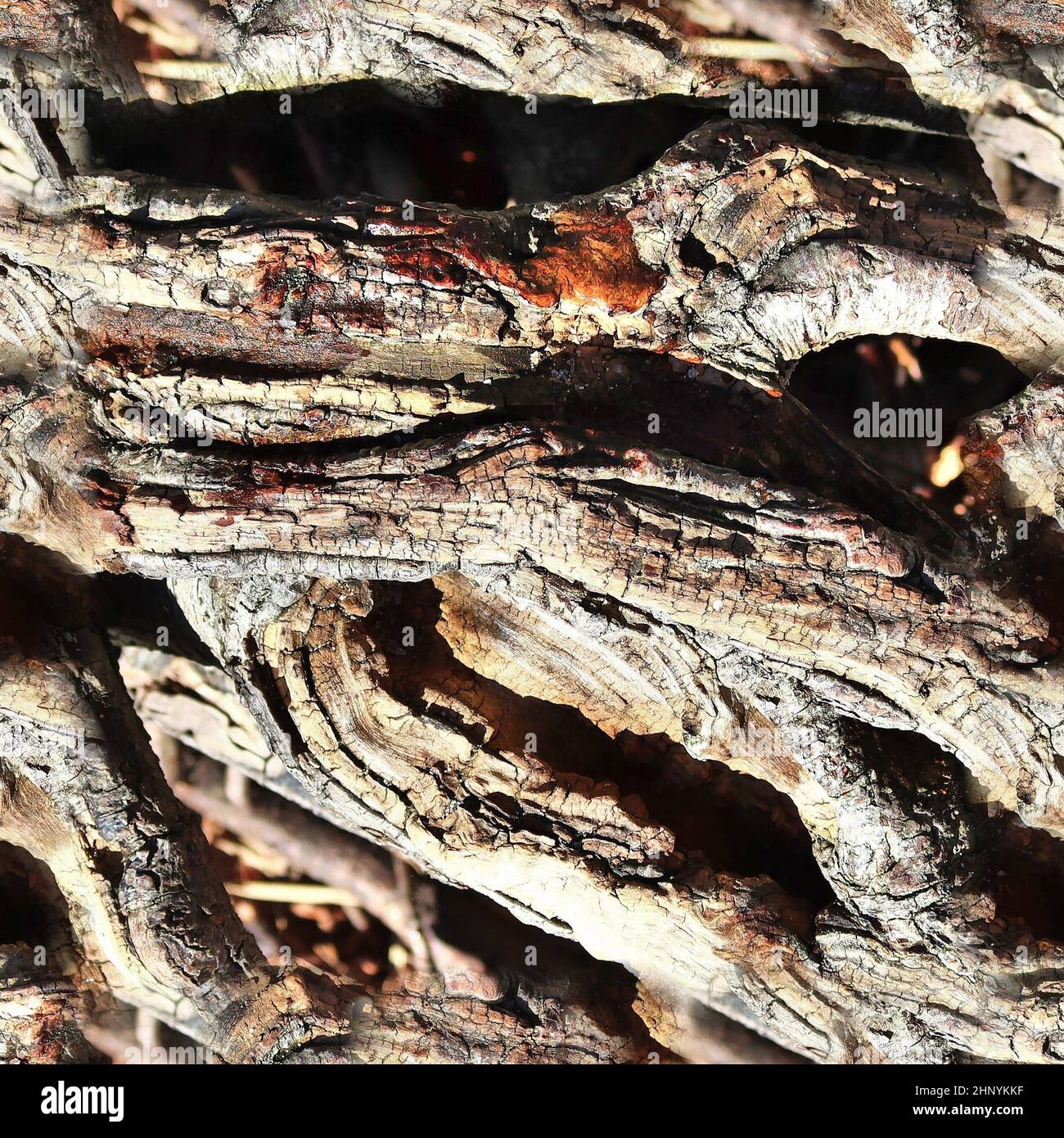 High resolution seamless texture of a forest ground with autumn leaves ...