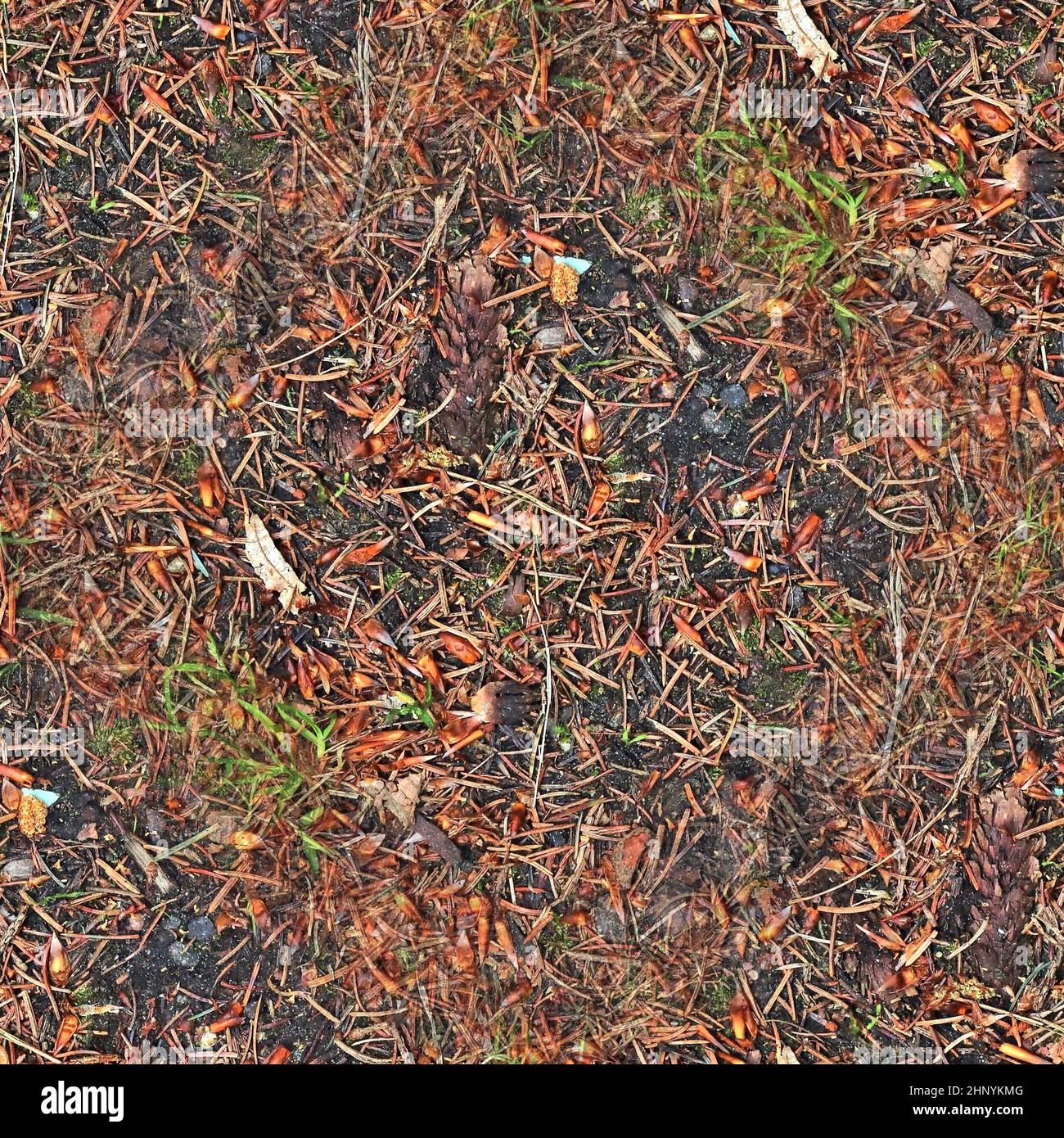 High resolution seamless texture of a forest ground with autumn leaves ...