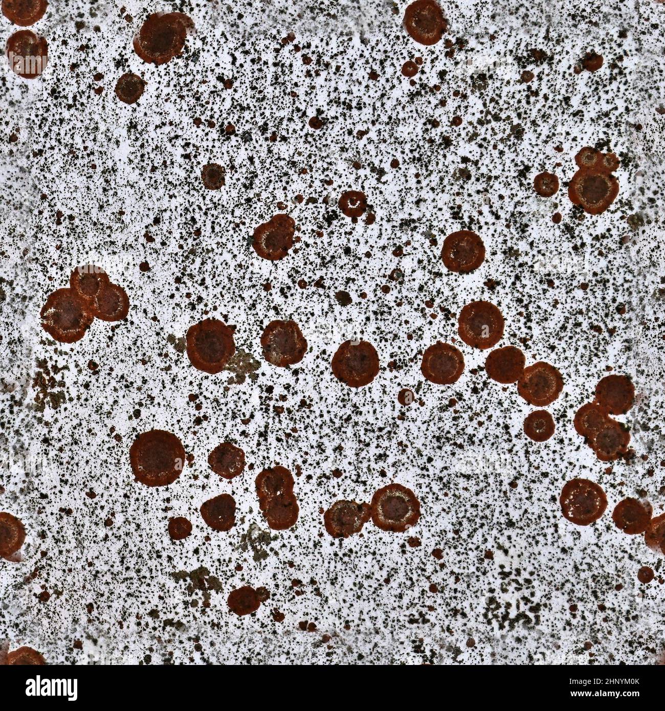 Photo realistic seamless texture pattern of rusty metal in high ...