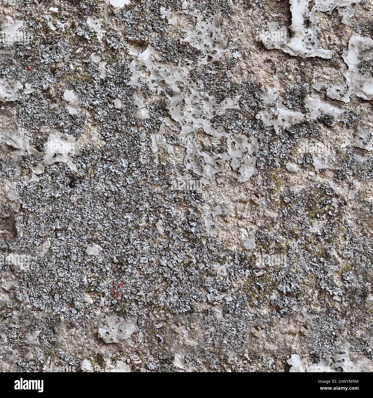 Photo realistic seamless texture of a tileable concrete wall with high ...