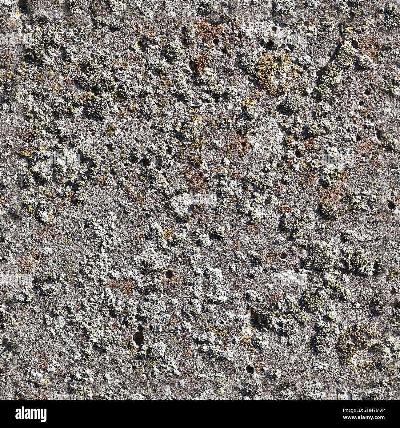 Photo realistic seamless texture of a tileable concrete wall with high ...