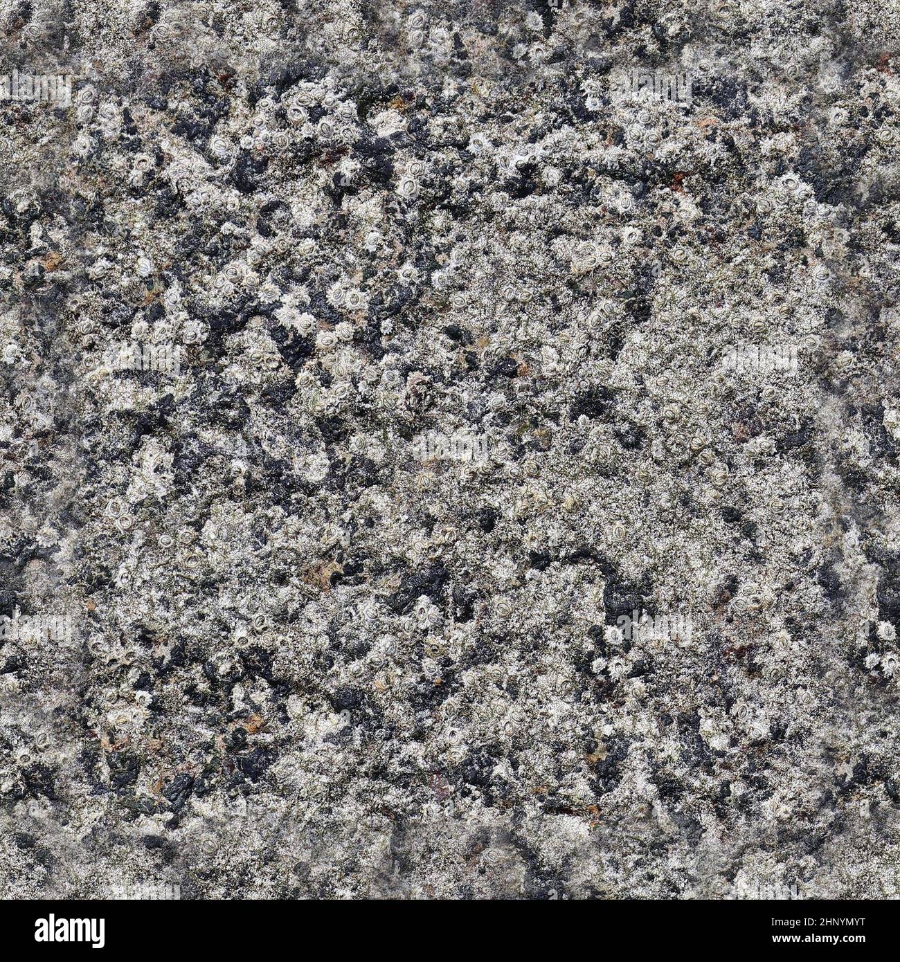 Photo realistic seamless texture of a tileable concrete wall with high ...