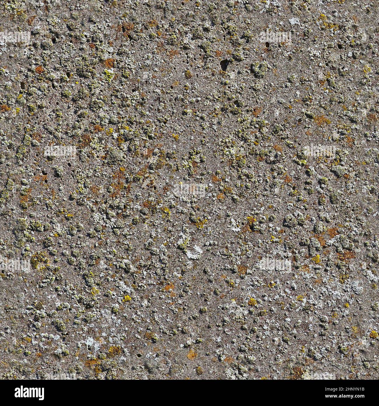 Photo realistic seamless texture of a tileable concrete wall with high ...