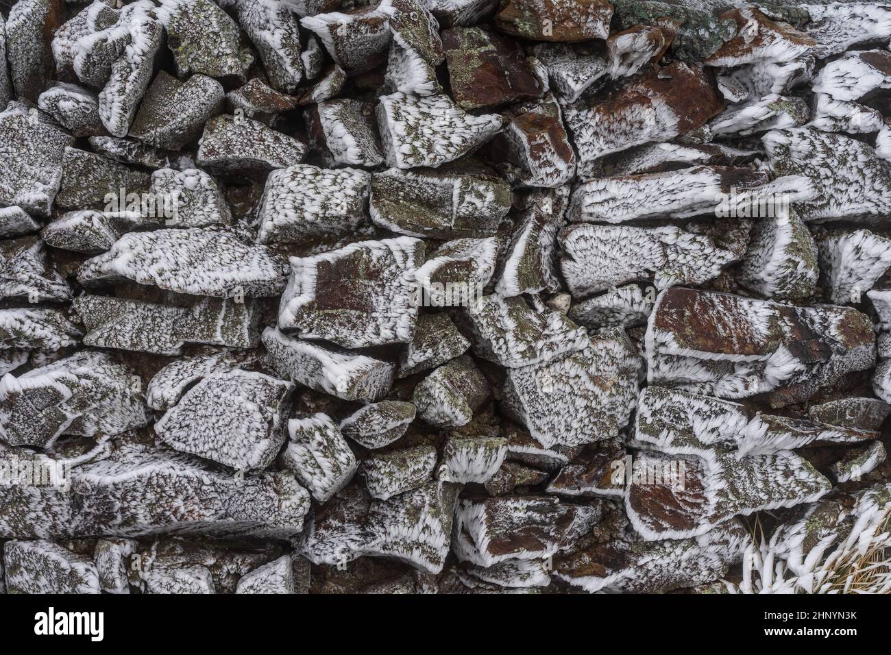 A stone wall covered with frost. Background Stock Photo - Alamy