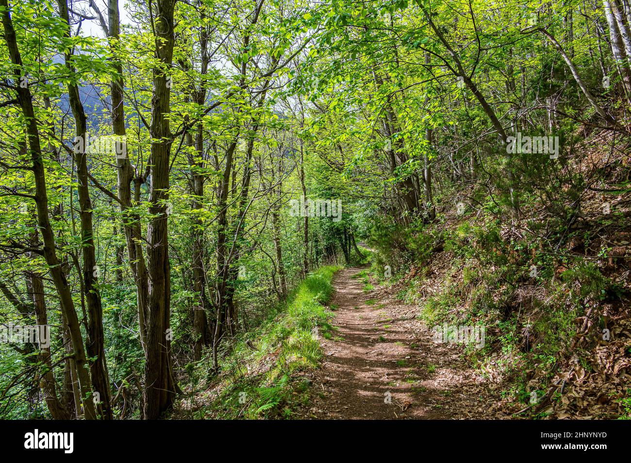 Italian mule track hi-res stock photography and images - Alamy