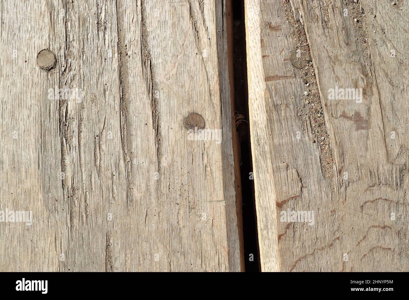 Detailed close up view on different wood surfaces showing planks logs ...