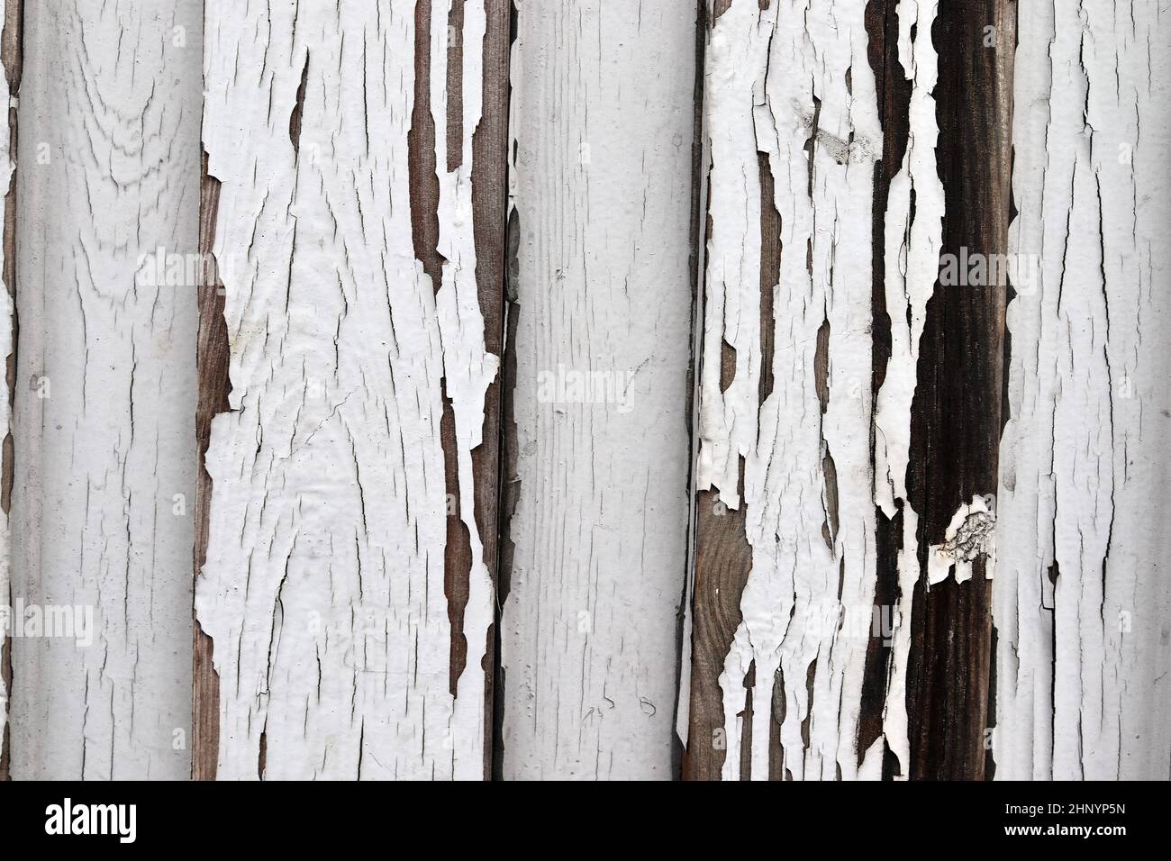 Detailed close up view on different wood surfaces showing planks logs ...