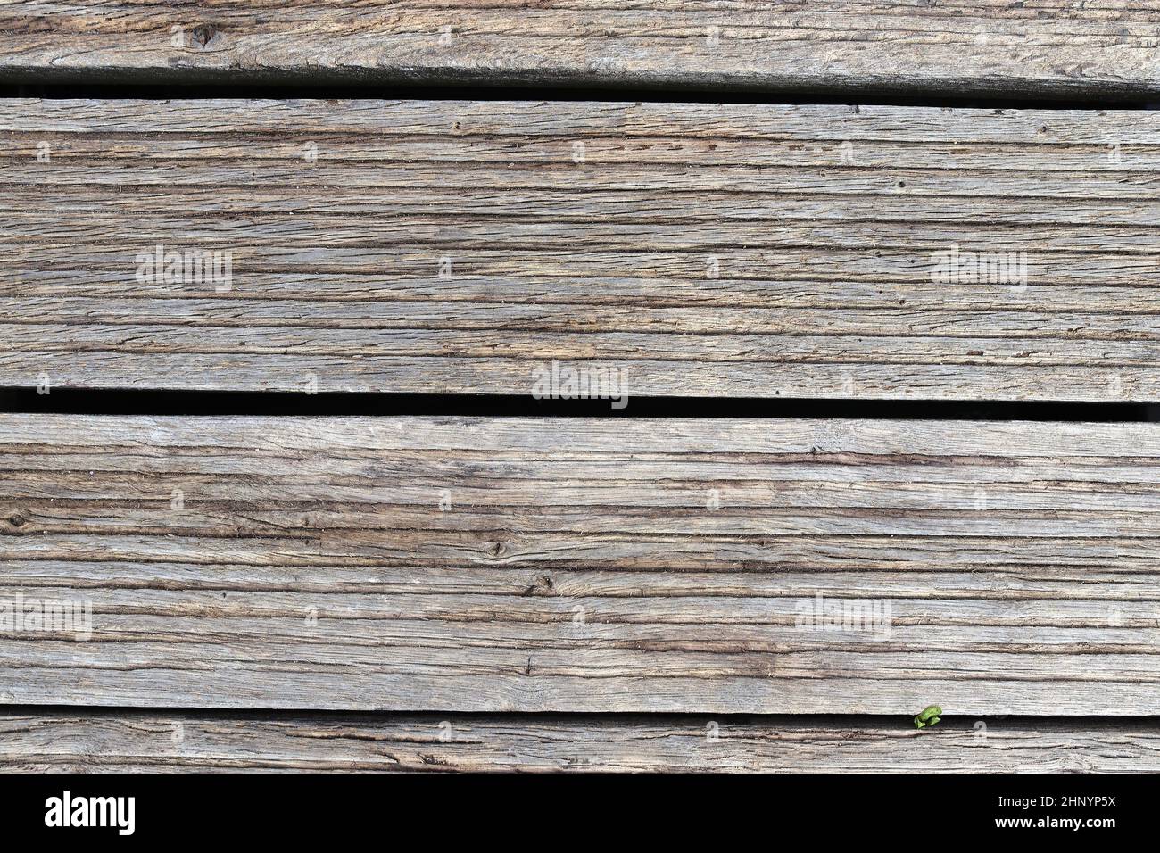 Detailed close up view on different wood surfaces showing planks logs ...