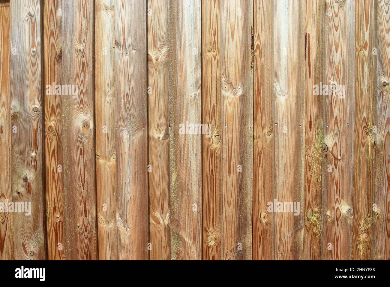 Detailed close up view on different wood surfaces showing planks logs ...