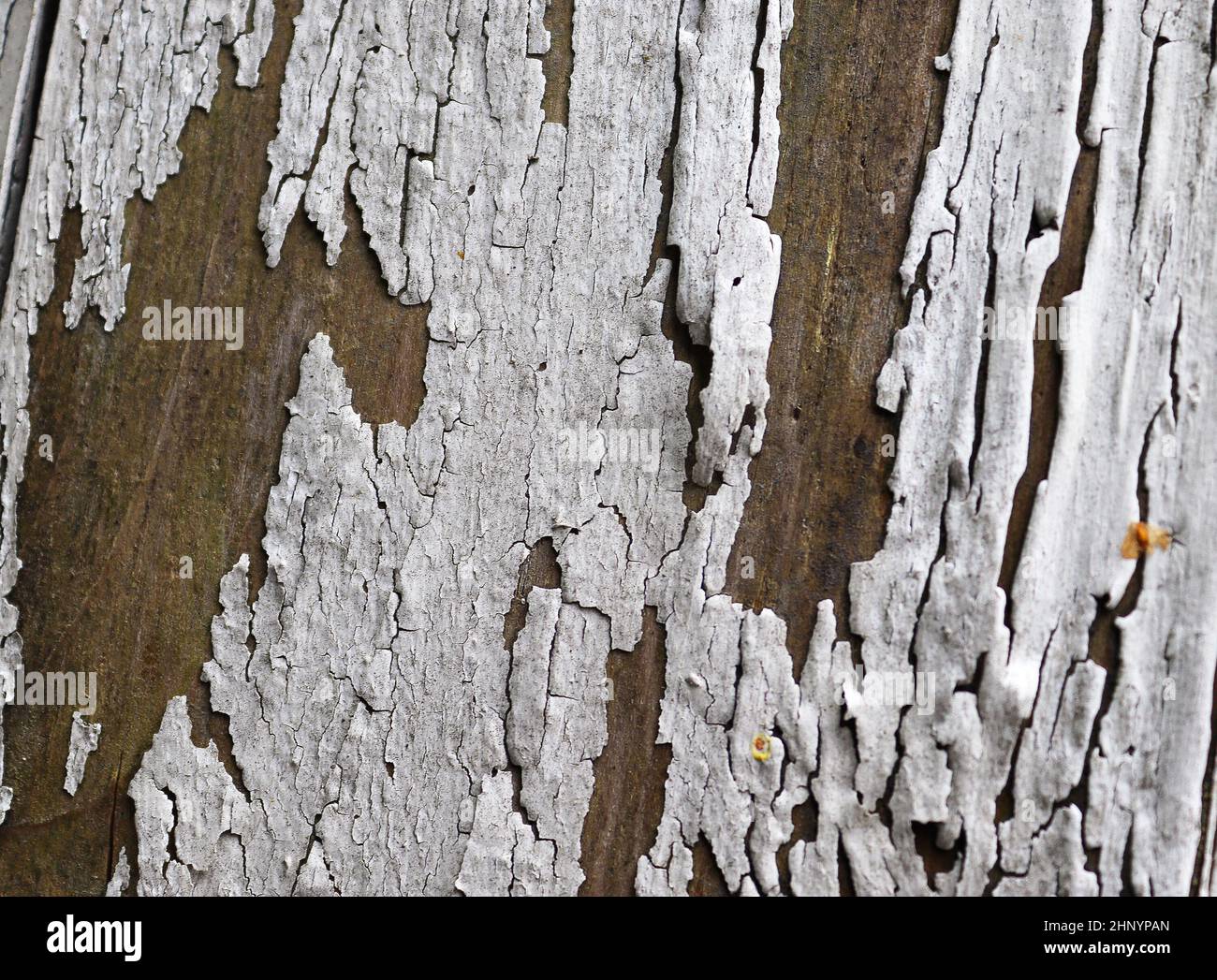 Detailed close up view on different wood surfaces showing planks logs ...