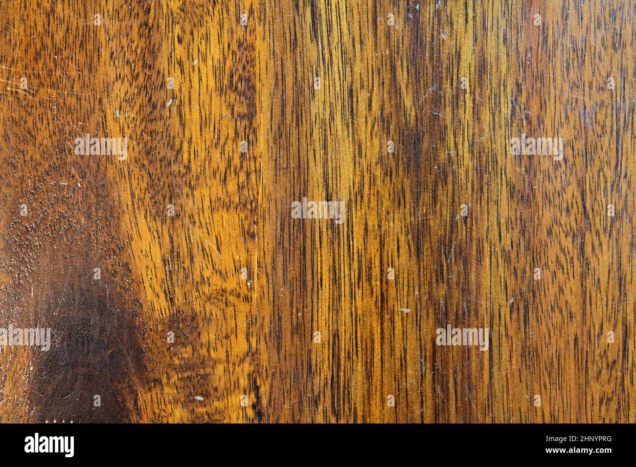 Detailed close up view on different wood surfaces showing planks logs ...