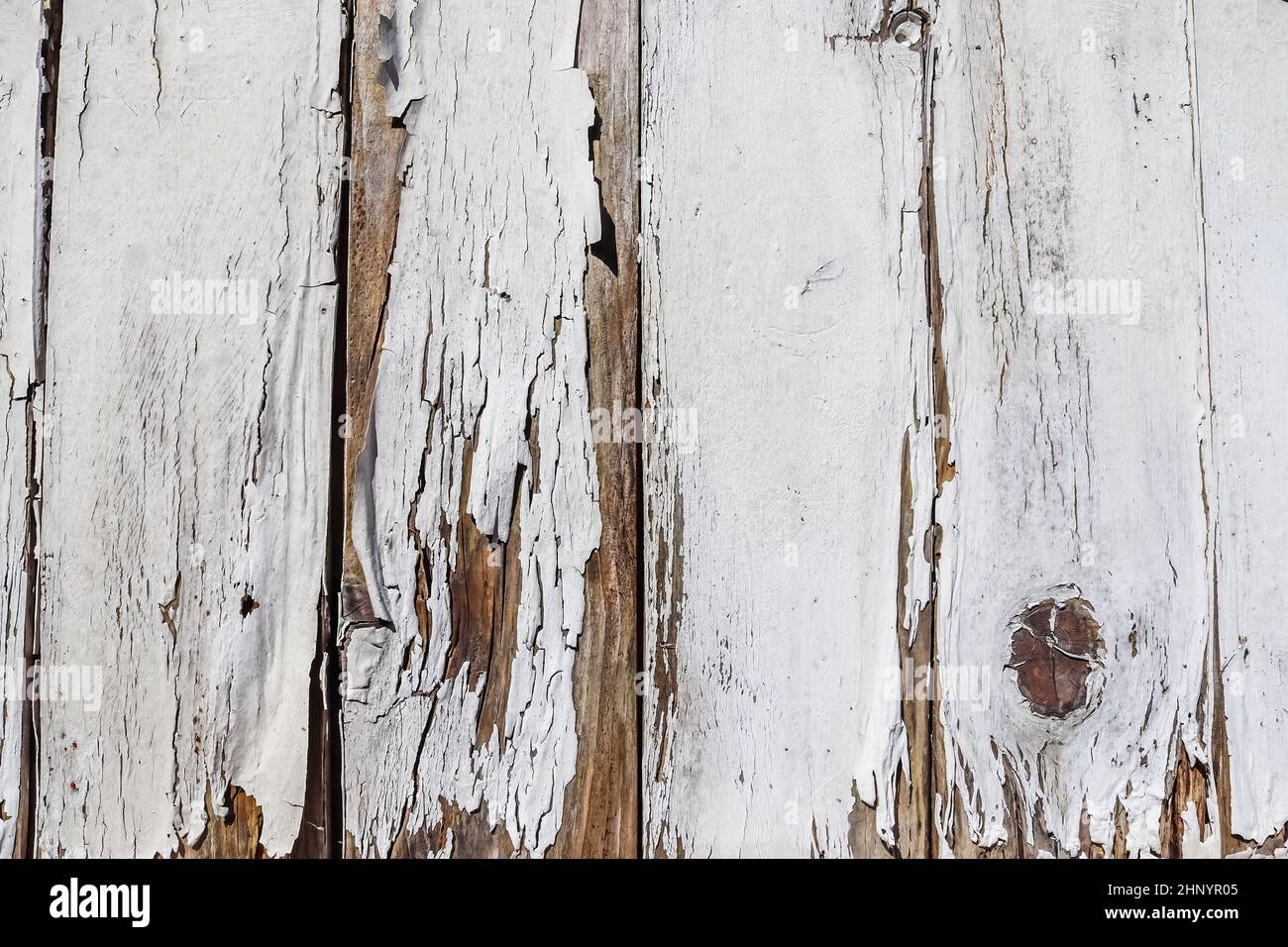 Detailed close up view on different wood surfaces showing planks logs ...