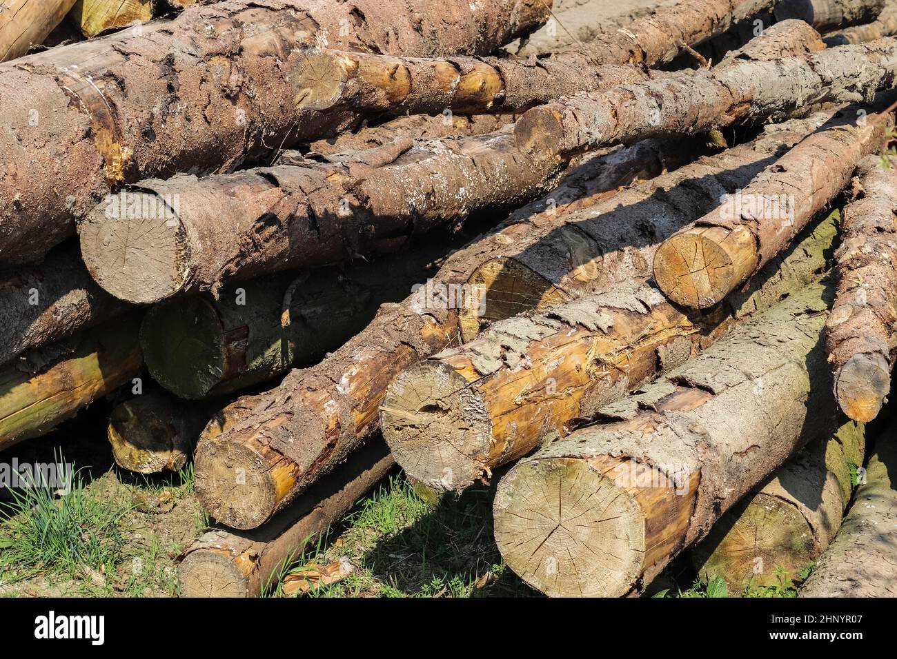 Detailed close up view on different wood surfaces showing planks logs ...