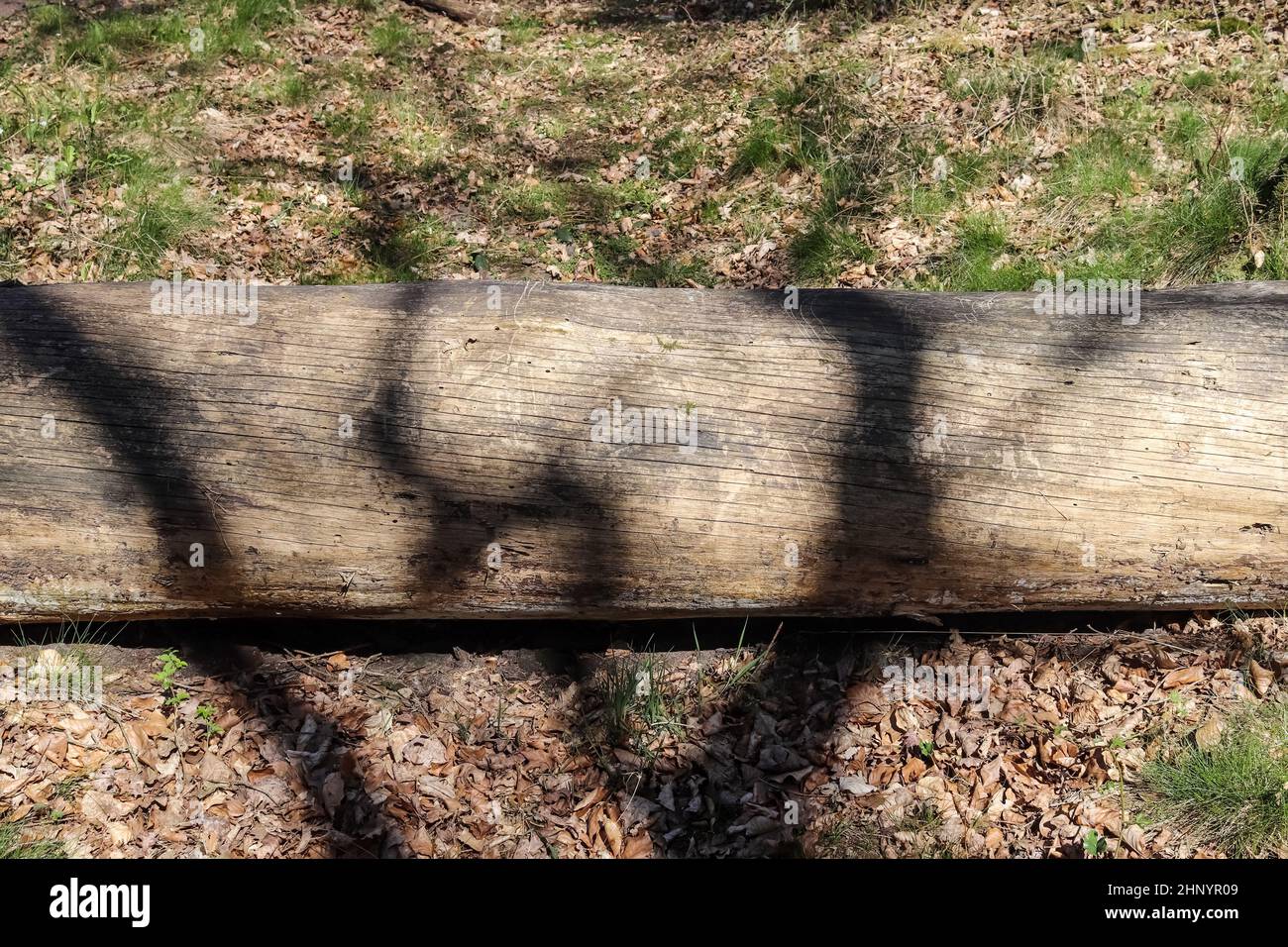 Detailed close up view on different wood surfaces showing planks logs ...