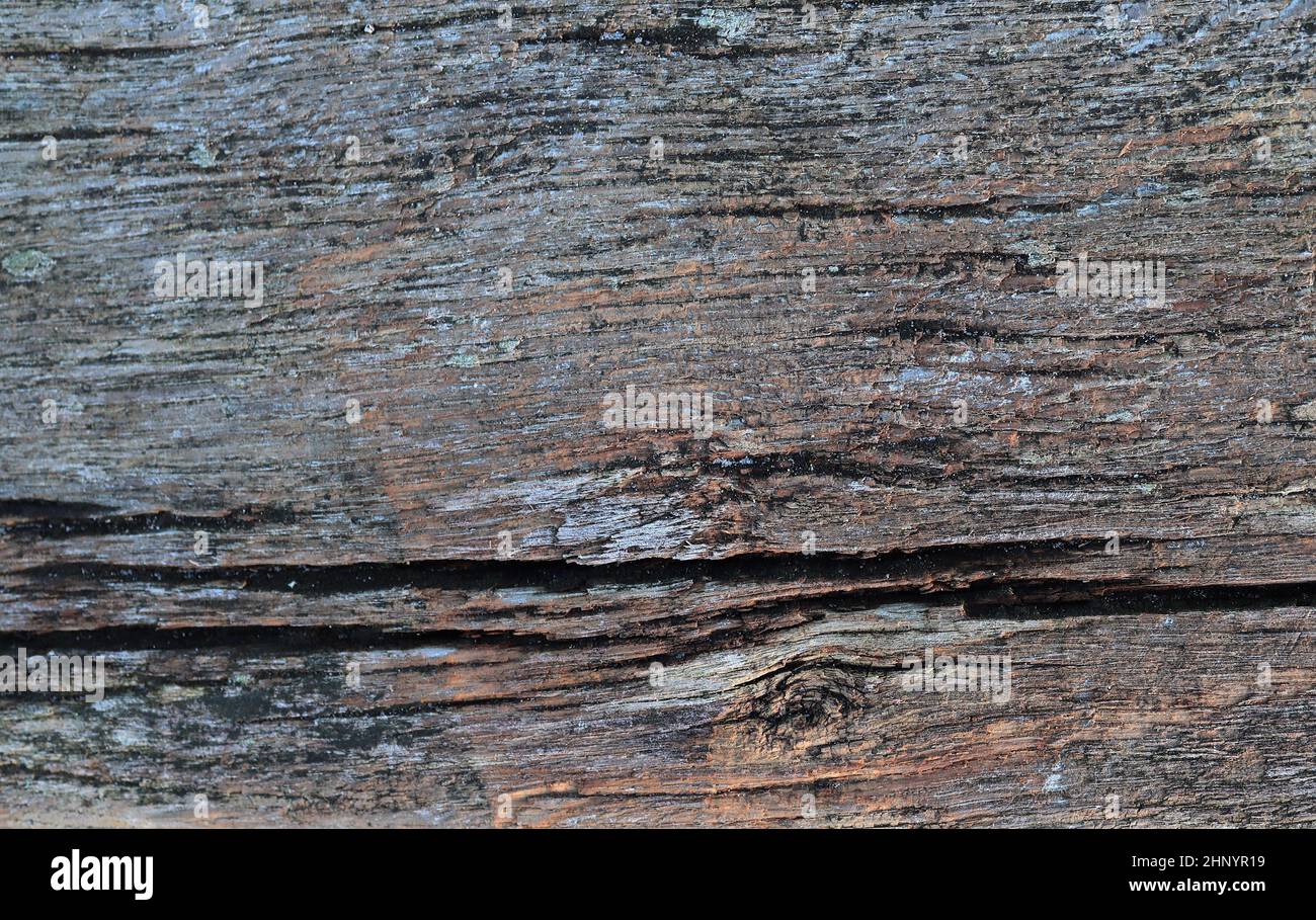 Detailed close up view on different wood surfaces showing planks logs ...