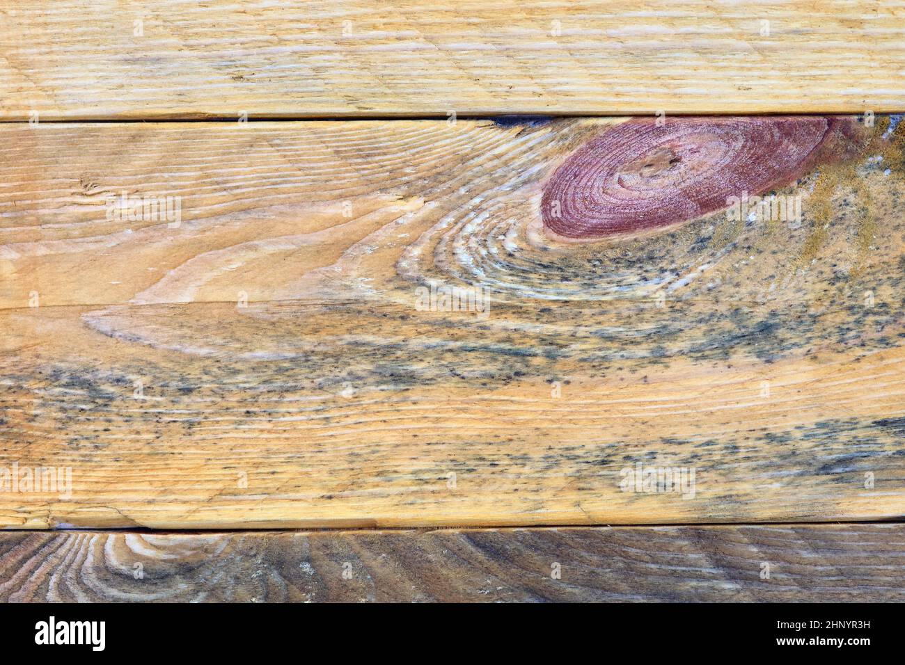 Detailed close up view on different wood surfaces showing planks logs ...