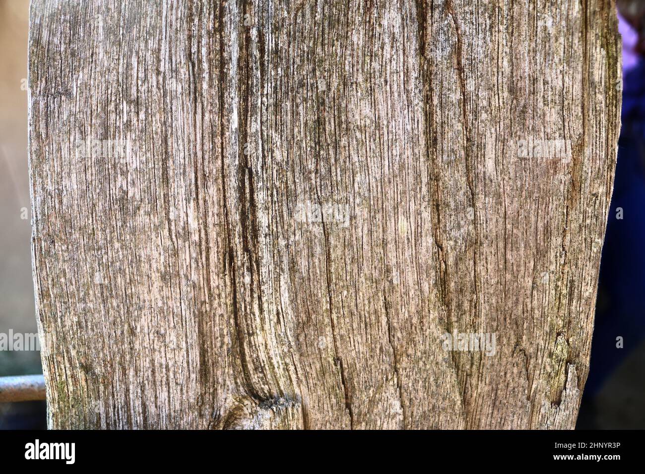 Detailed close up view on different wood surfaces showing planks logs ...