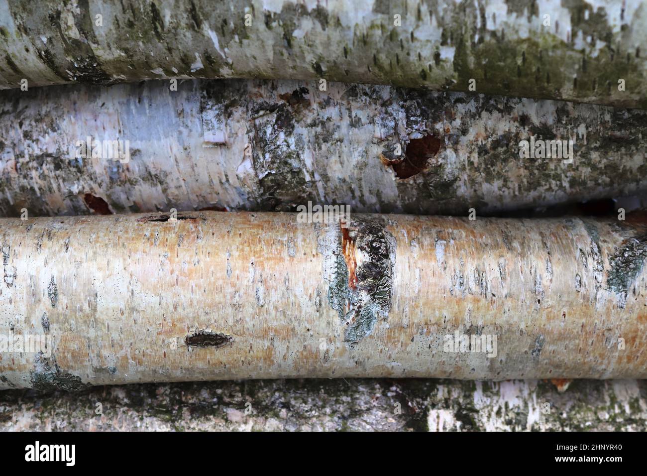 Detailed close up view on different wood surfaces showing planks logs ...