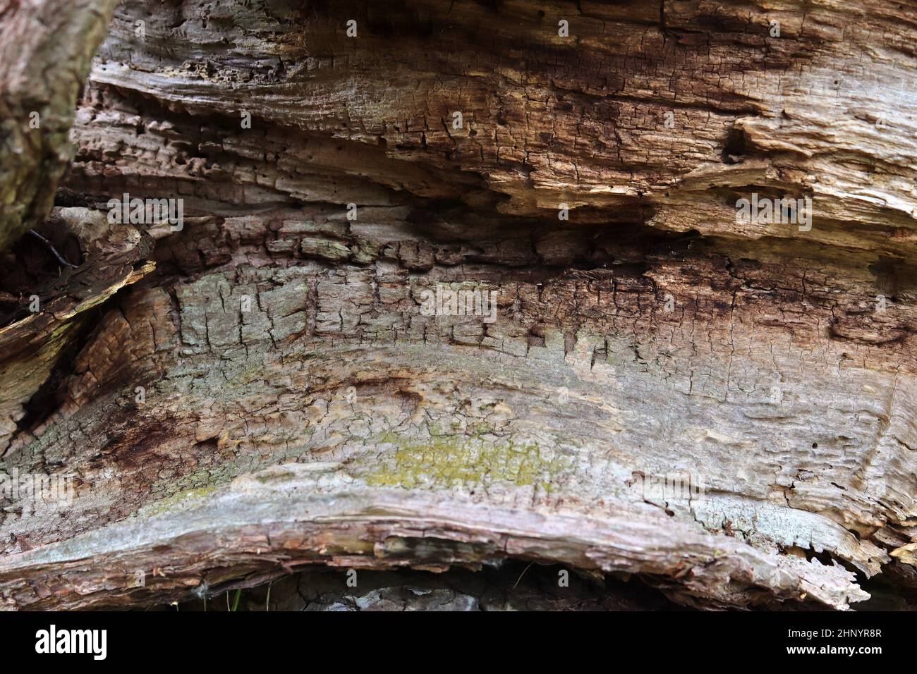 Detailed close up view on different wood surfaces showing planks logs ...