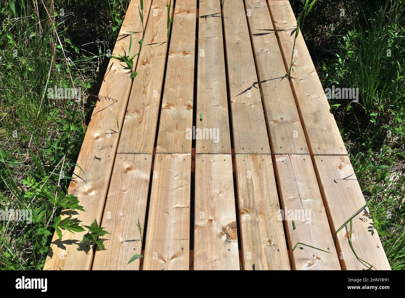 Detailed close up view on different wood surfaces showing planks logs ...