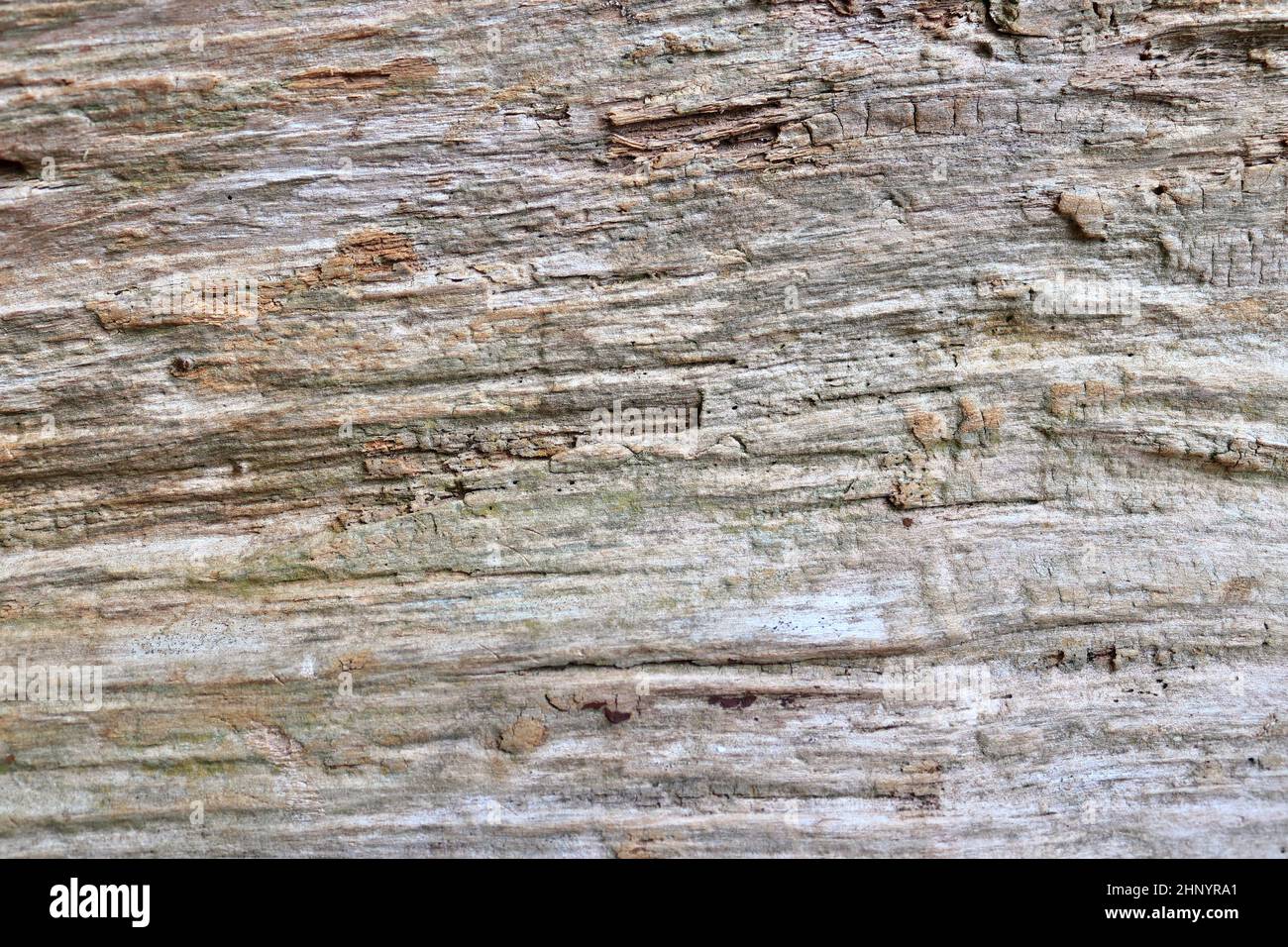 Detailed close up view on different wood surfaces showing planks logs ...