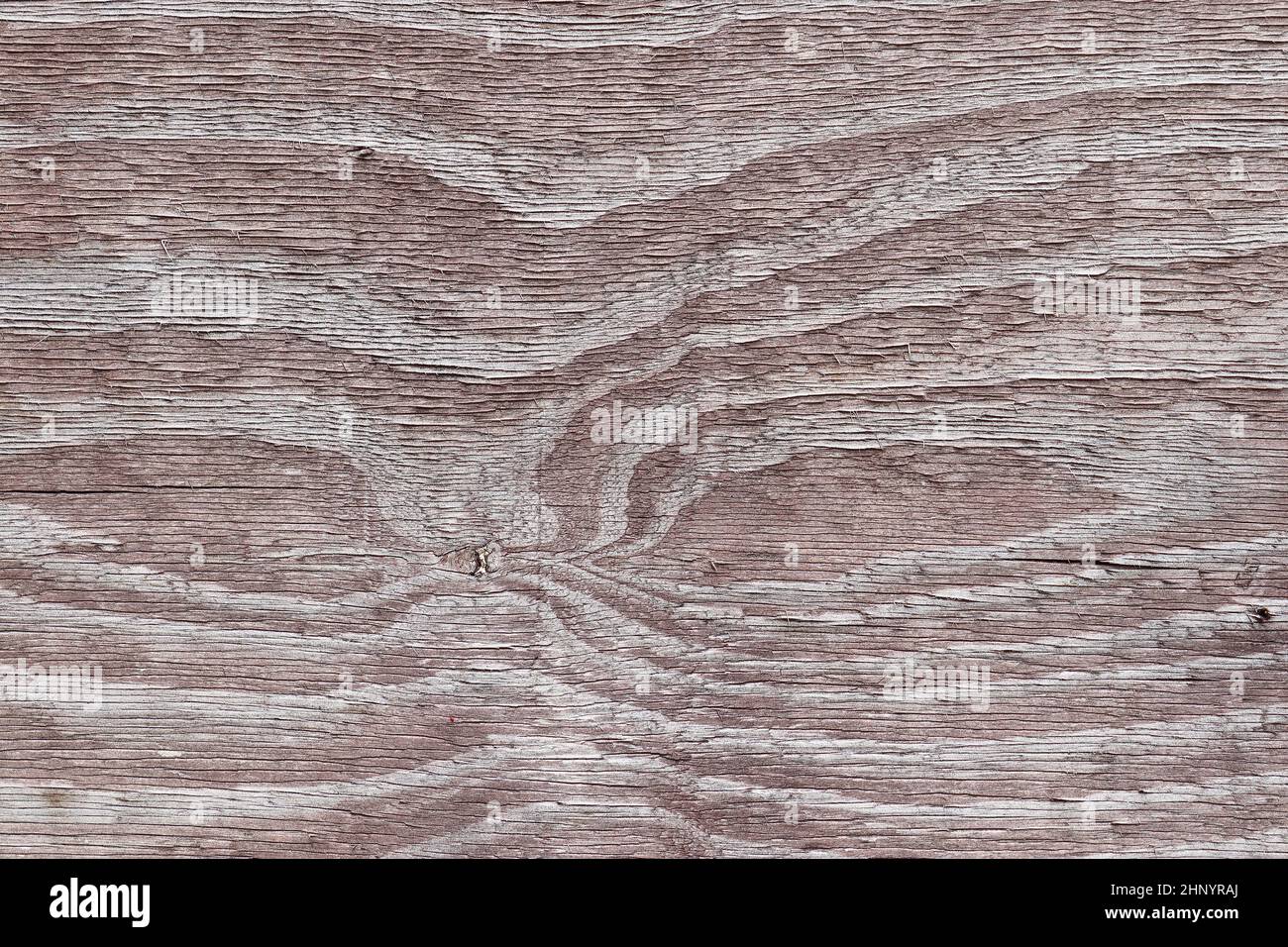 Detailed close up view on different wood surfaces showing planks logs ...