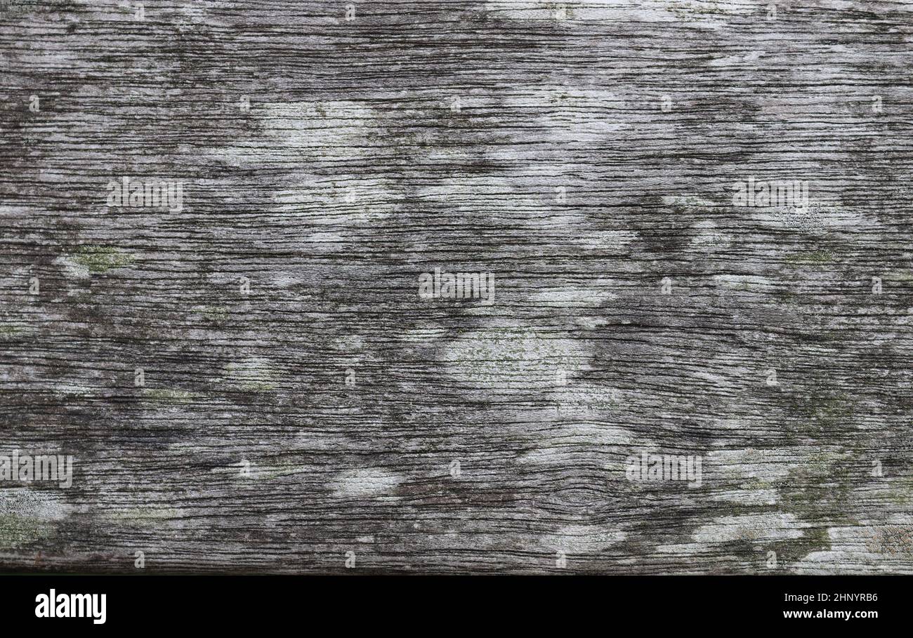 Detailed close up view on different wood surfaces showing planks logs ...