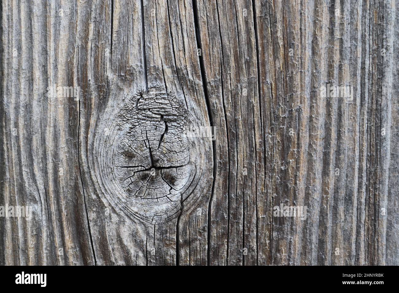 Detailed close up view on different wood surfaces showing planks logs ...