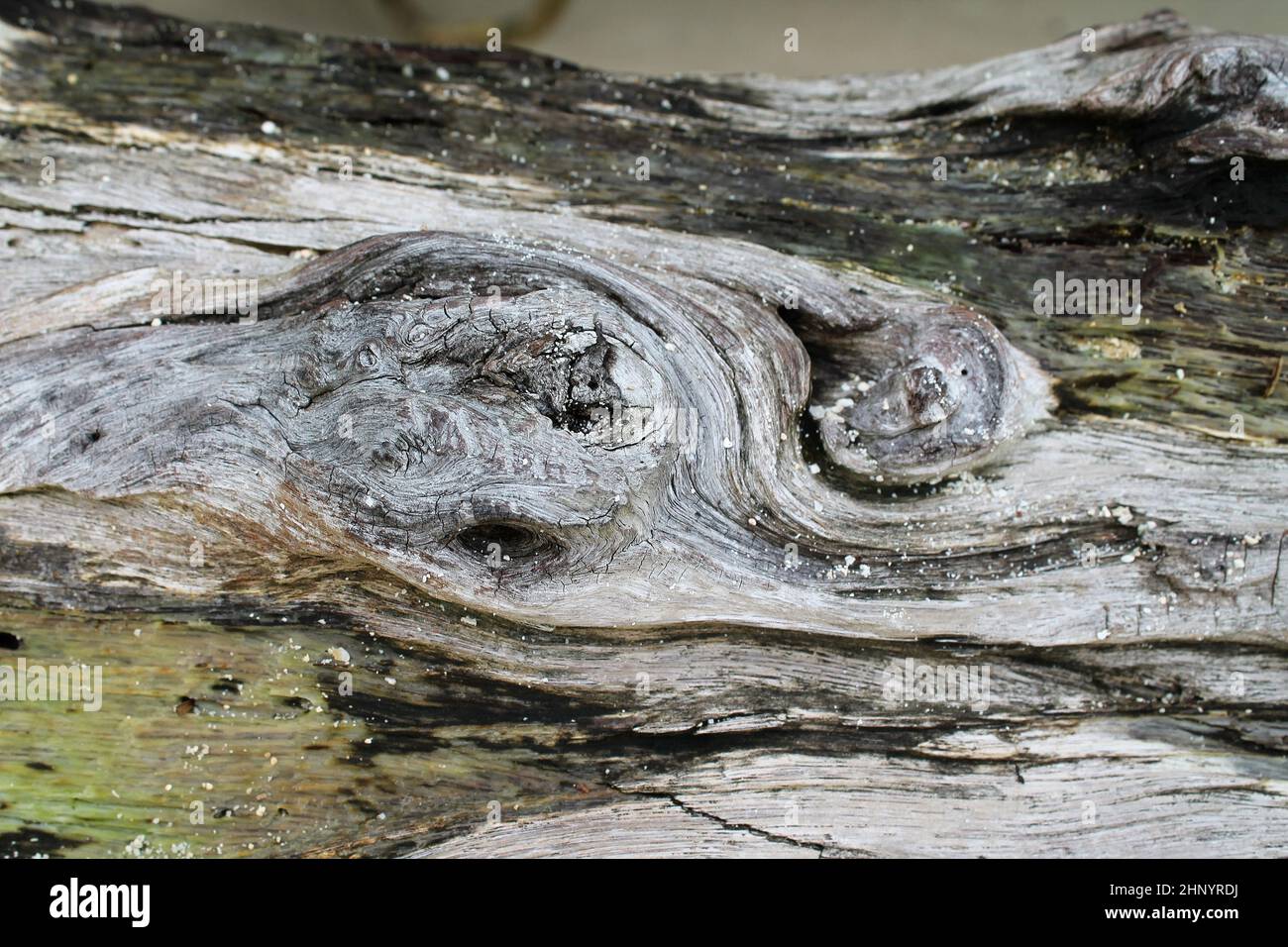 Detailed close up view on different wood surfaces showing planks logs ...