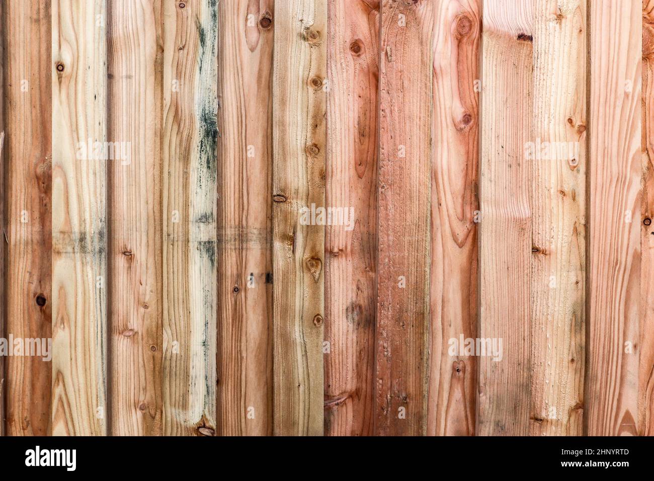 Detailed close up view on different wood surfaces showing planks logs ...