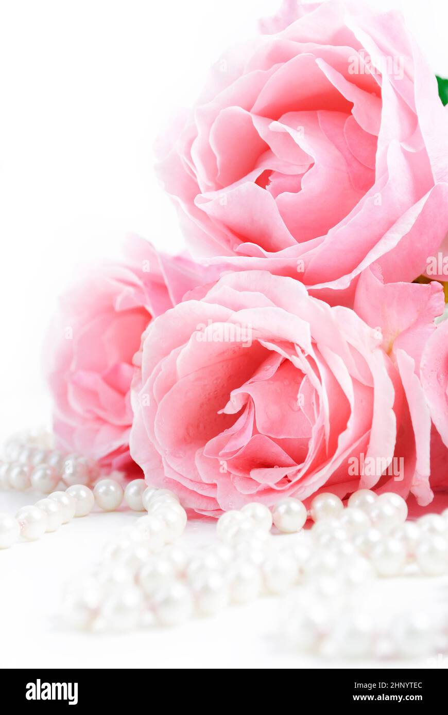 Beautiful pearls on pink hi-res stock photography and images - Alamy