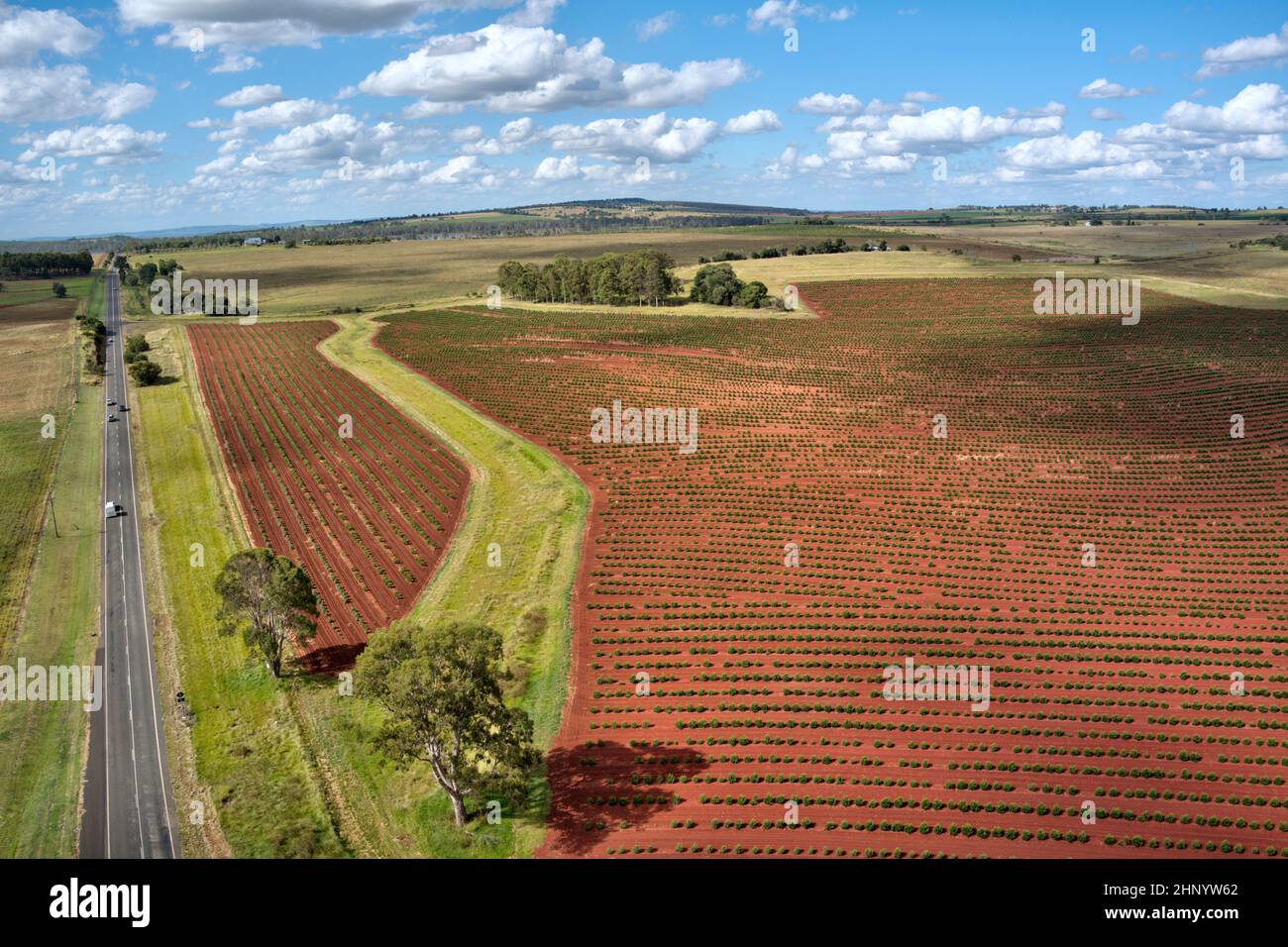 Australia pharmaceutical industry hi-res stock photography and images ...