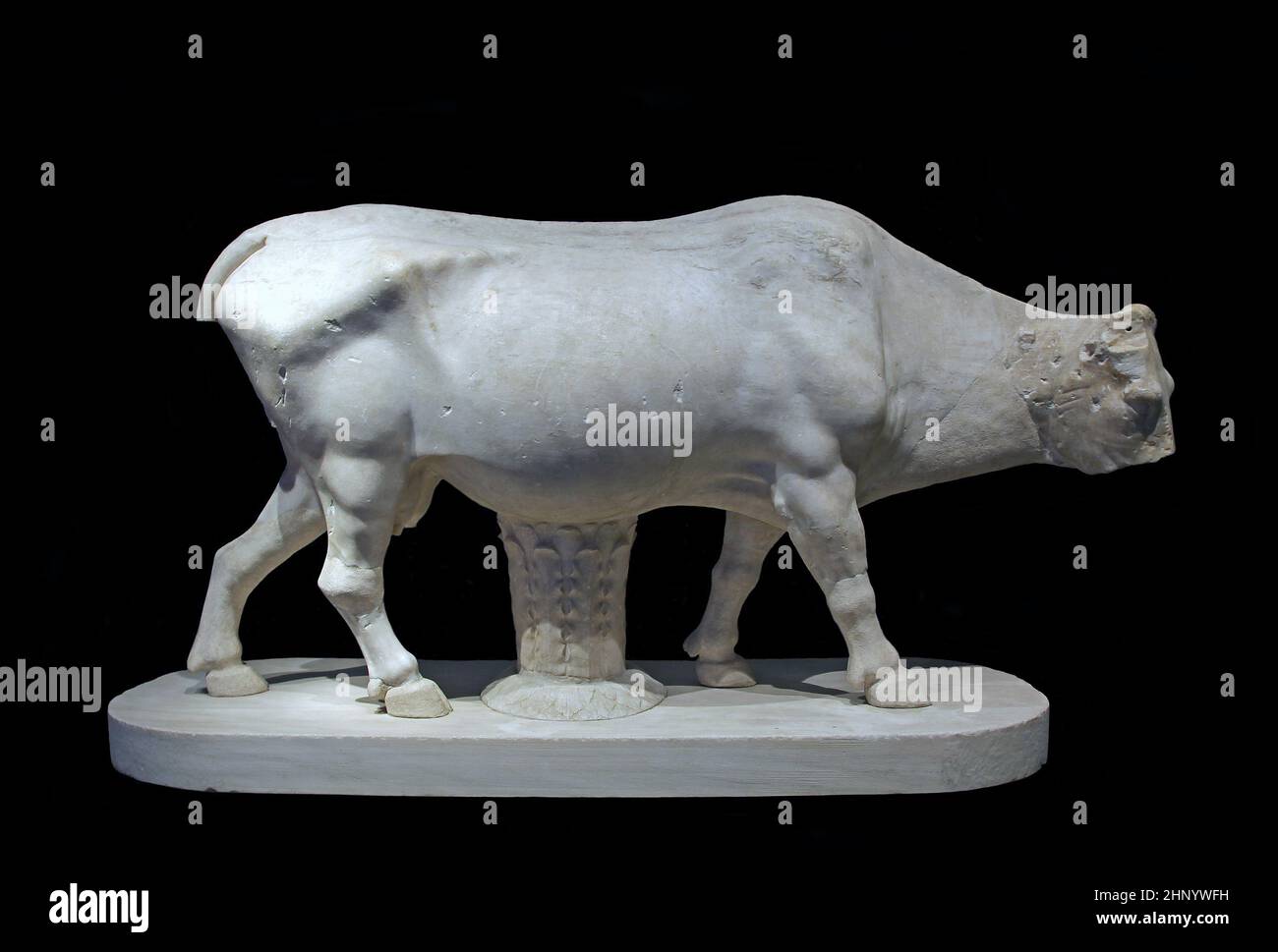 Marble cow,81-96 AD.Rome.Considered to be a copy of the bronze cow made ...