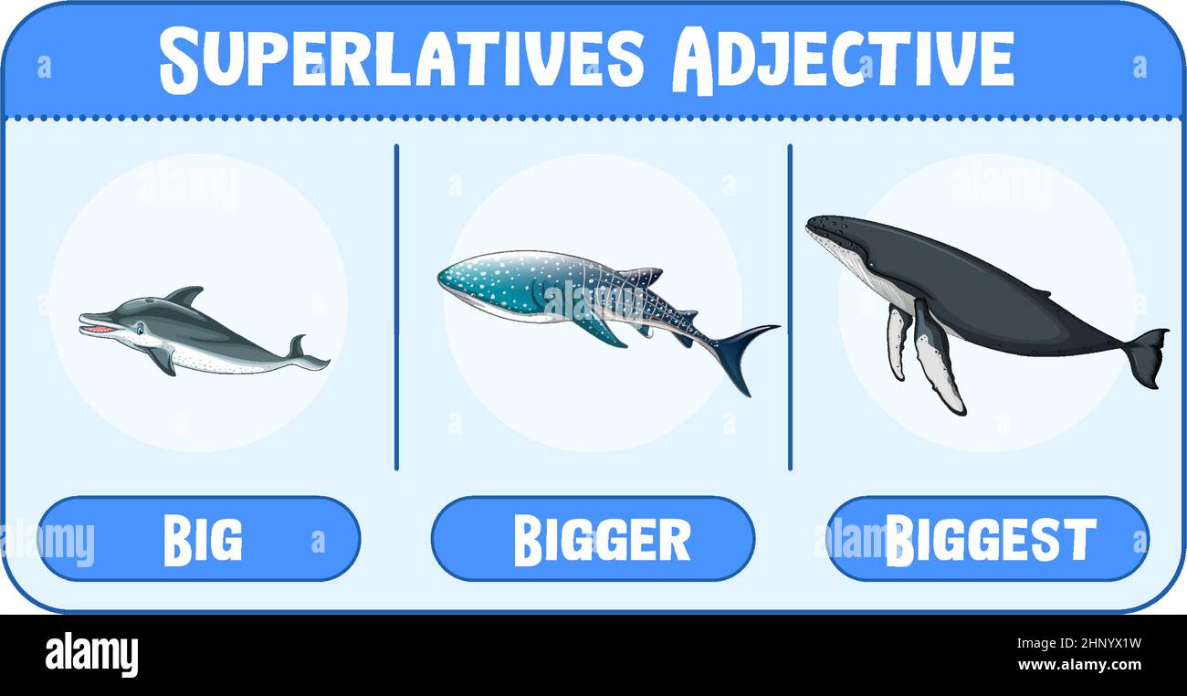 Large vocabulary Stock Vector Images - Alamy