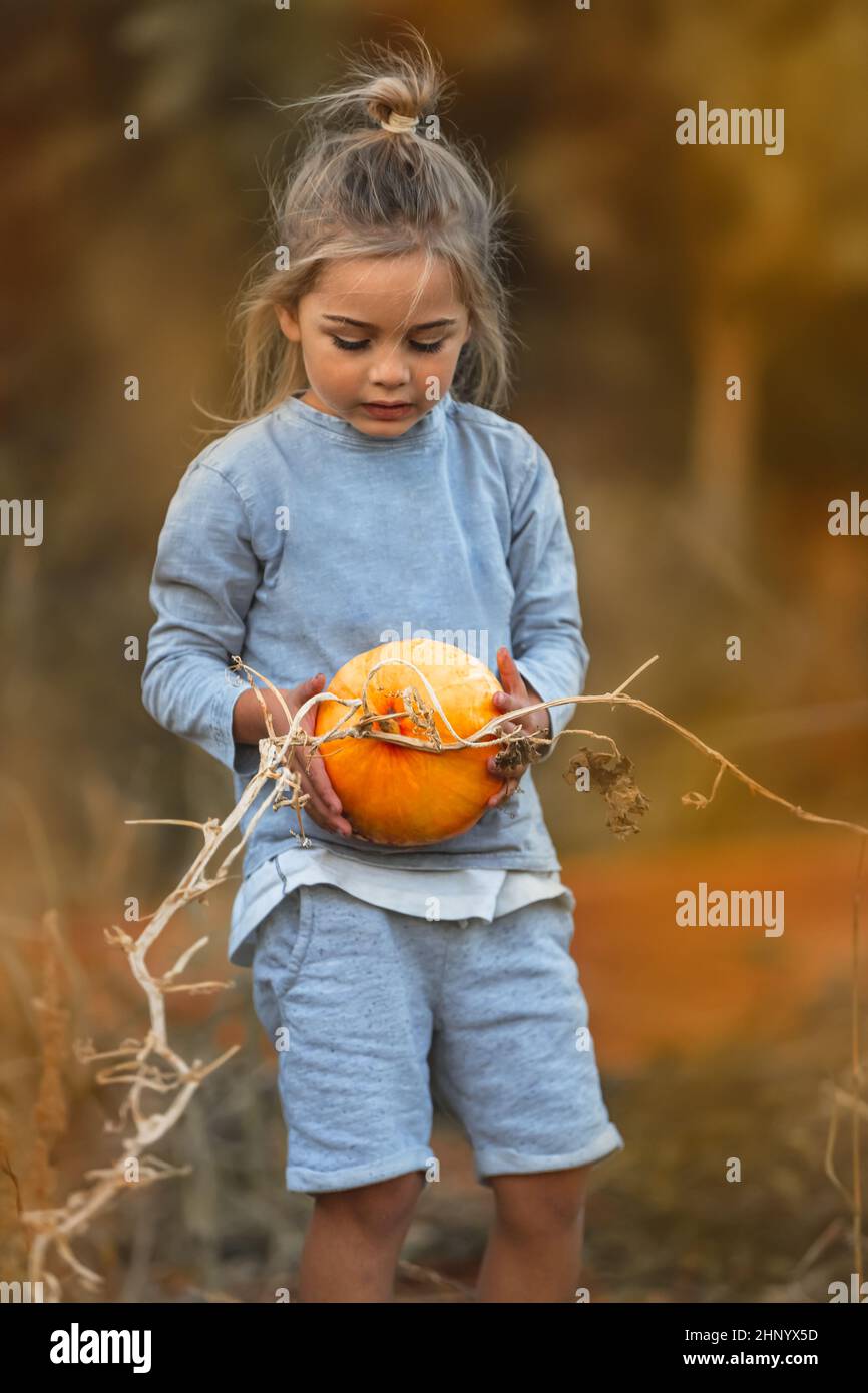 Portrait of a Cute Little Boy with a Pumpkin in the Garden. Food and ...