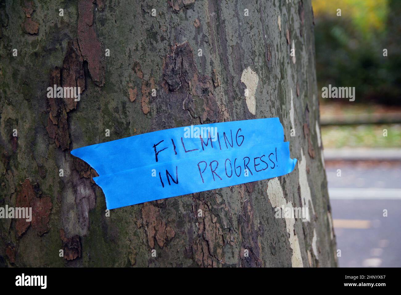 Filming in progress sign on a tree at the park with a blue tape Stock ...