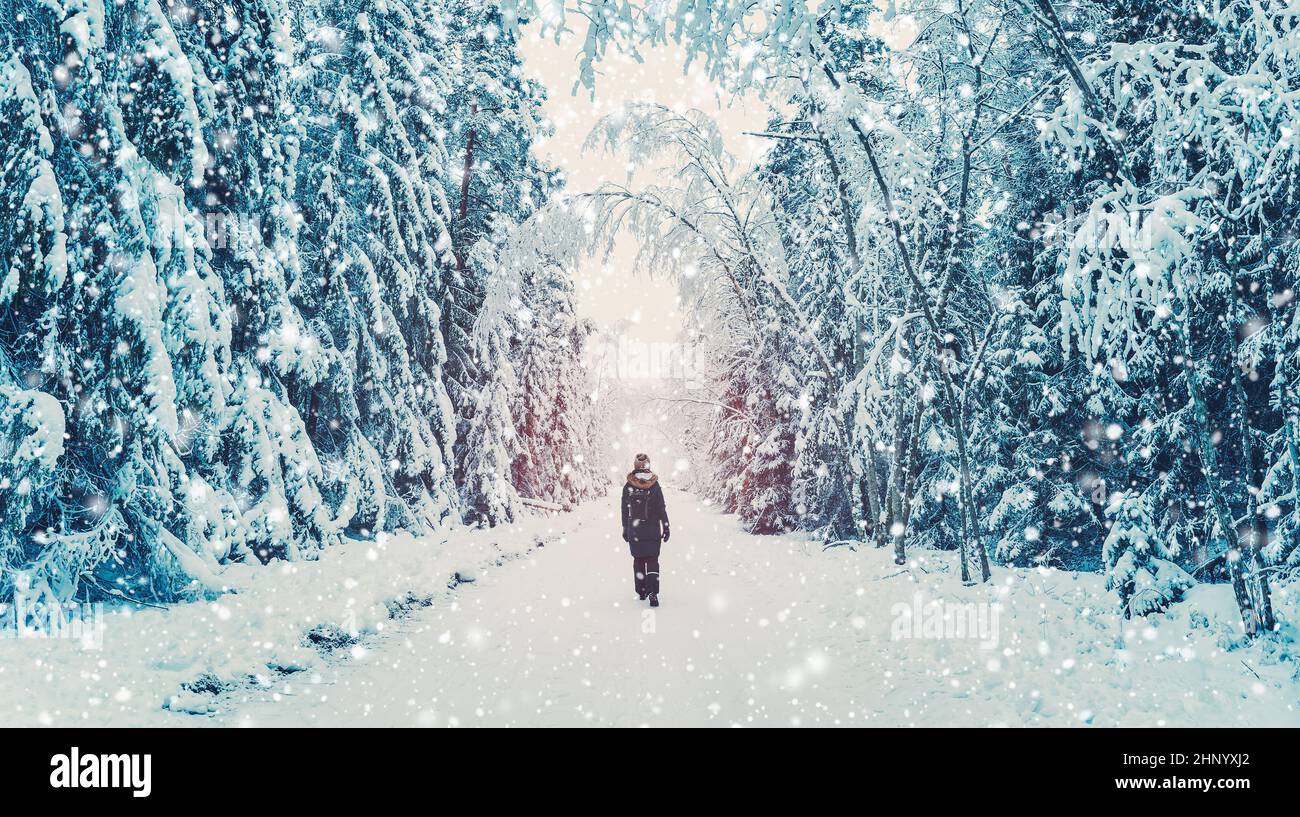 Loneliness woman walking in the winter forest in snowfall. Beautiful ...